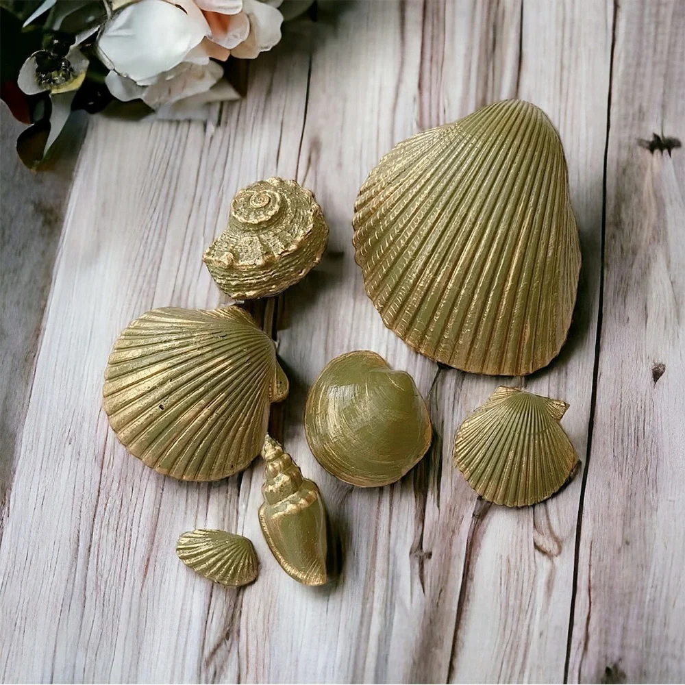 Accents | 7 Striking Natural Shells For Your Beach Decor | Poshmark